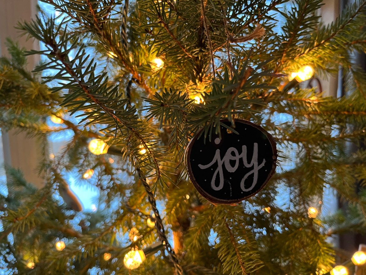 May Our Hearts Rejoice with Great Joy – Starlight Writer